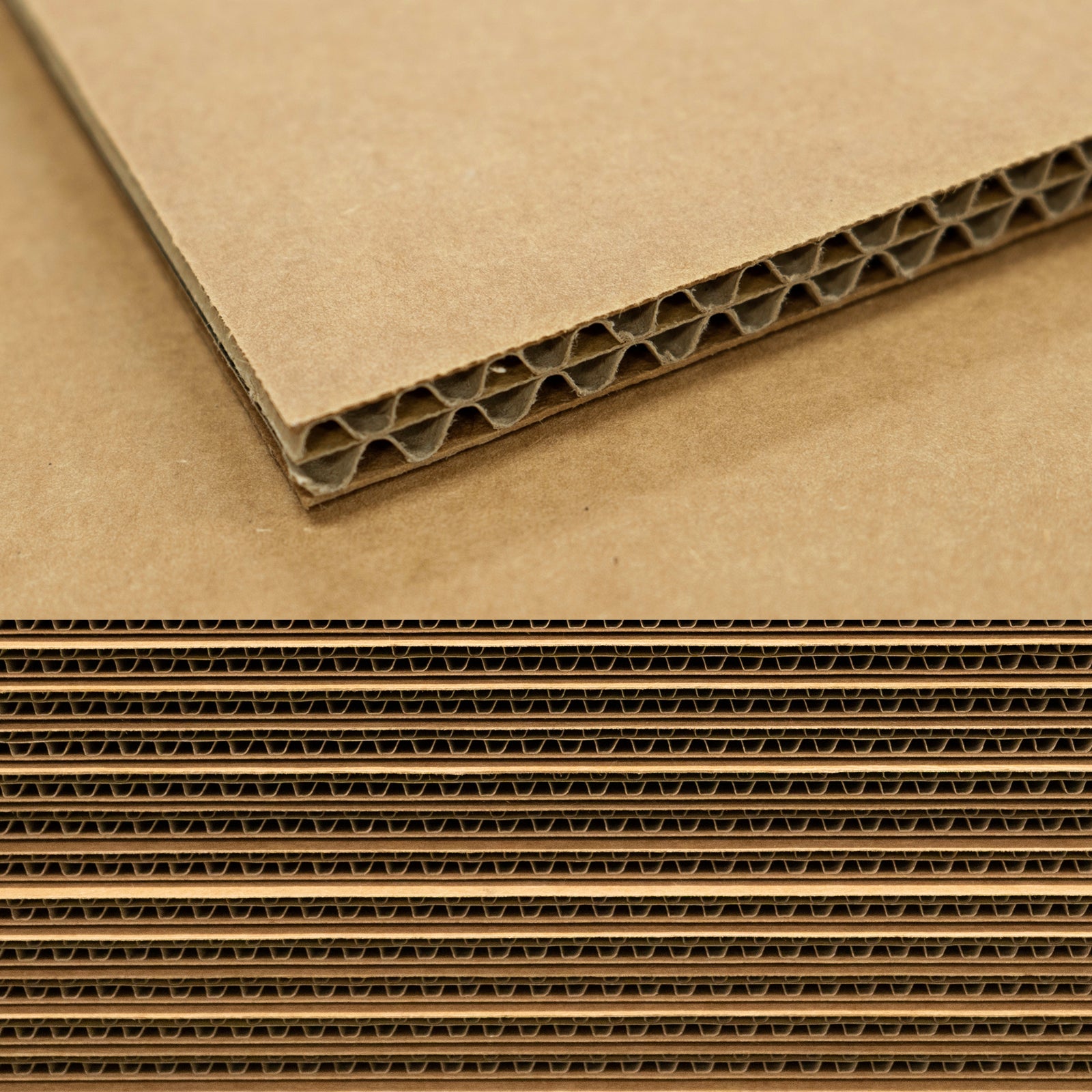 muscle-CARDBOARD#N# – ACE LUGGAGE