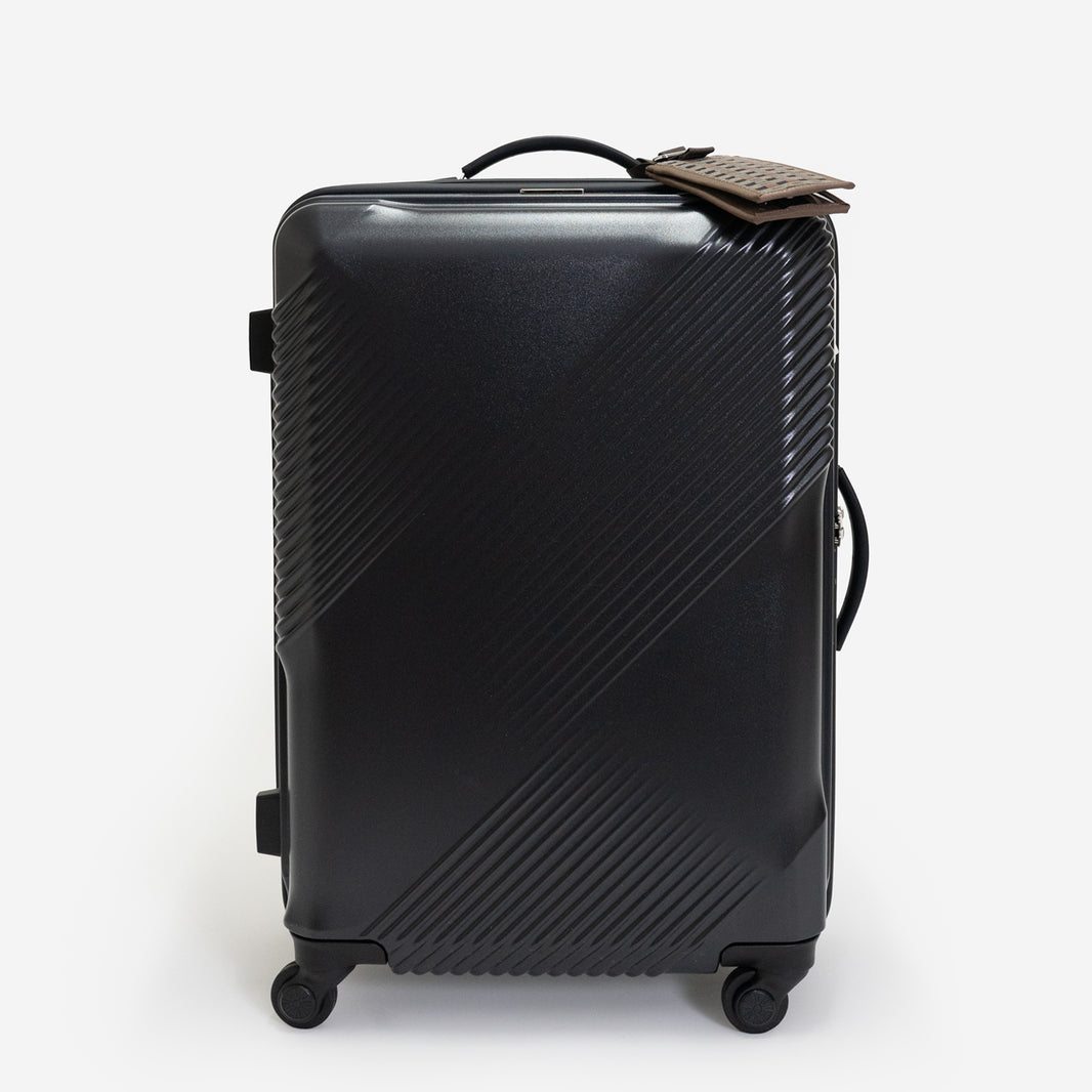 Hard Luggage – Page 2 – ACE LUGGAGE